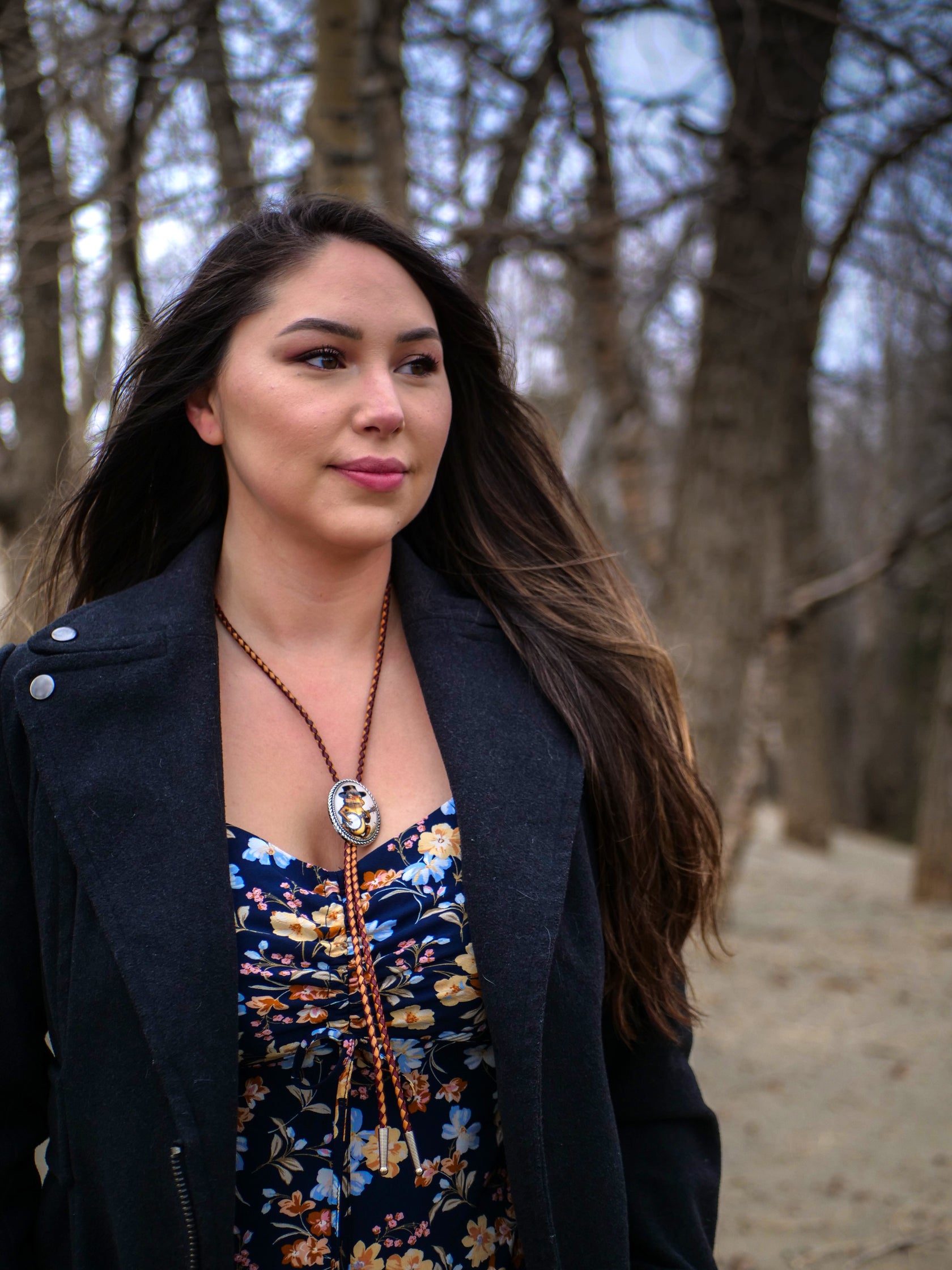 Country Toad Bolo Tie | Folk Art Bluegrass Western Bola Necktie for Me ...